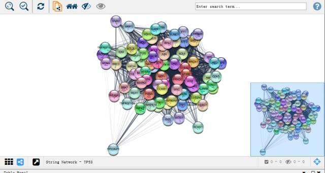 一网打尽：cytoscape详细教程 - 哔哩哔哩
