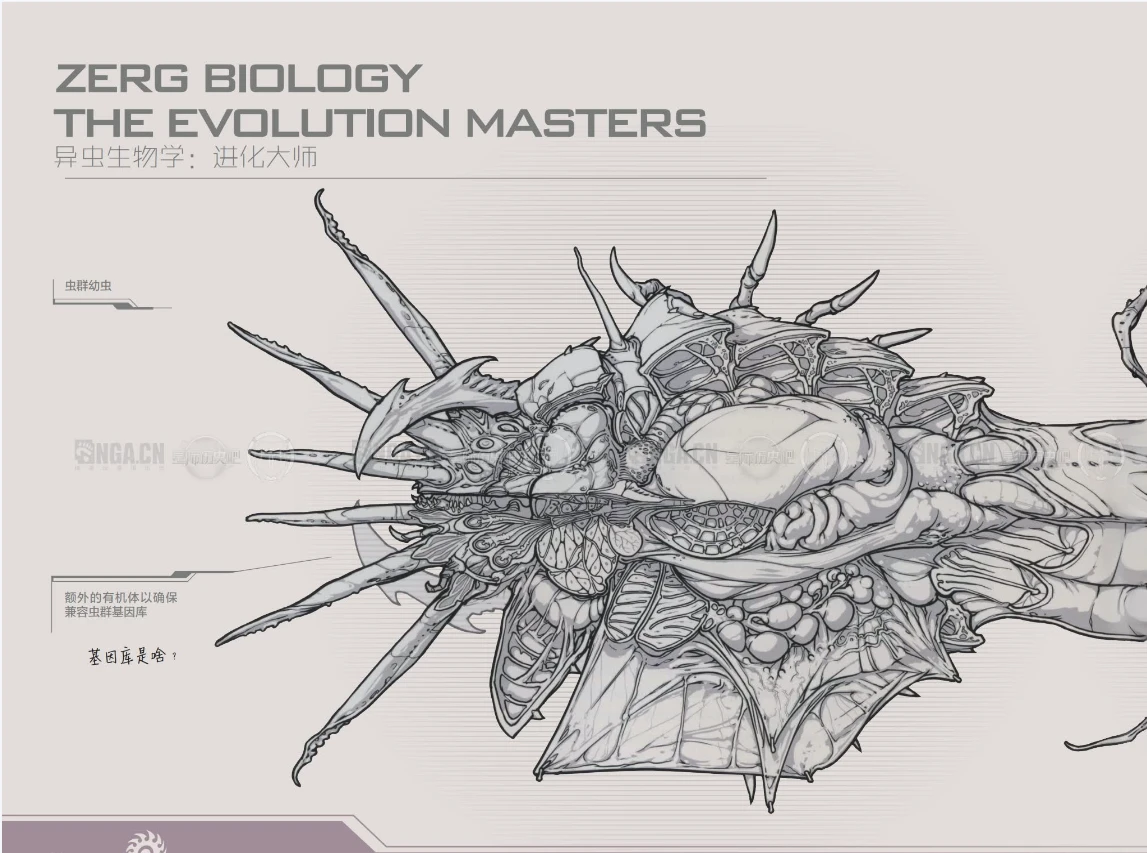 《星际争霸》- 异虫(Zerg)的概述 - 哔哩哔哩