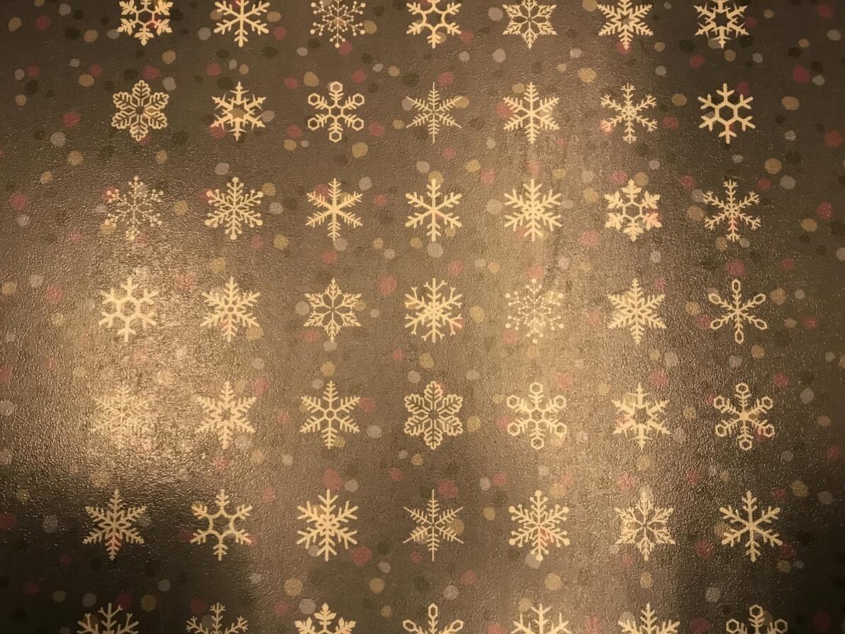 0004｜新干线E5/H5系 图源维基百科 - 哔哩哔哩