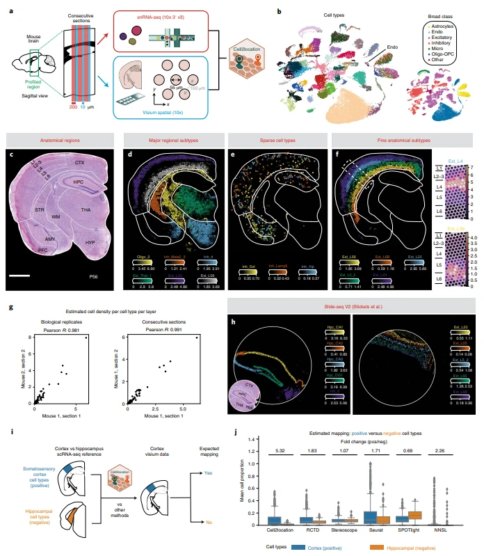 《NBT》| Cell2location注释空间数据细胞 - 哔哩哔哩