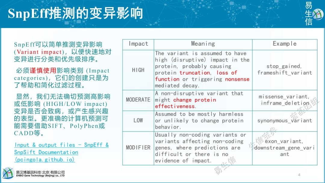 生信分析关键工具：基因组变异注释-SnpEff - 哔哩哔哩