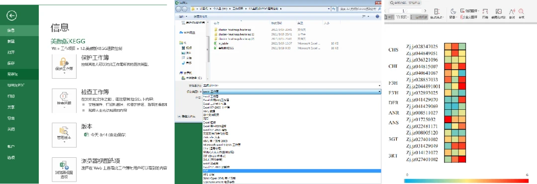 分享一个PPT+Excel绘制KEGG通路热图的方法 - 哔哩哔哩