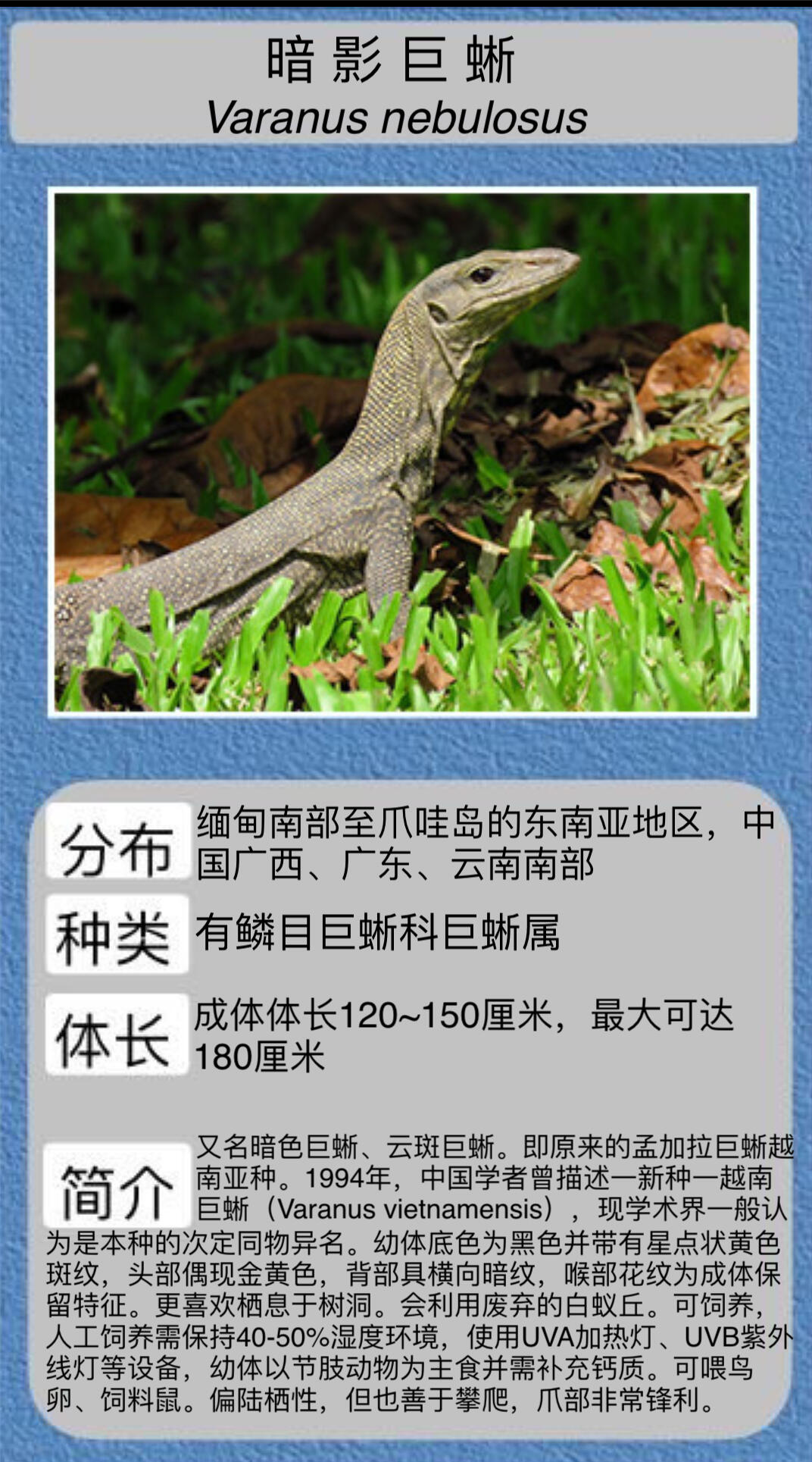 爬行类快餐式科普第五弹 - 哔哩哔哩