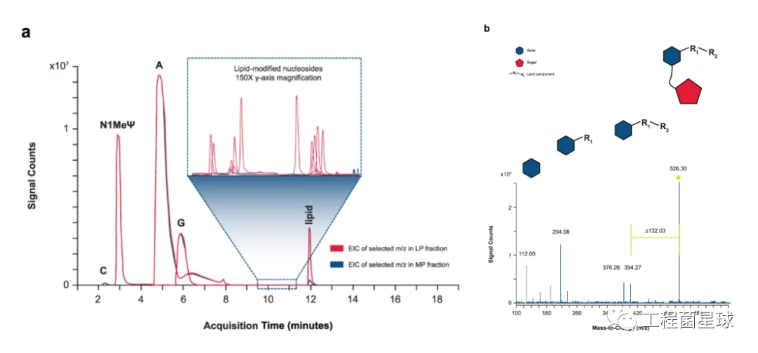 【耀文解读】基于IP-RP-HPLC分析mRNA疫苗中的杂质：脂质 mRNA加合物 - 哔哩哔哩