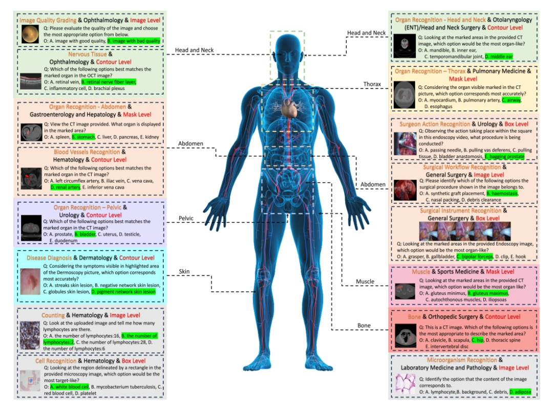 含284个数据集，上海AI Lab等发布多模态医疗基准GMAI-MMBench - 哔哩哔哩