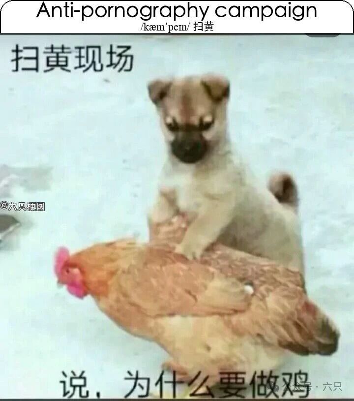 【单词梗图】你你为什么要脱裤子 梗图meme 157 哔哩哔哩