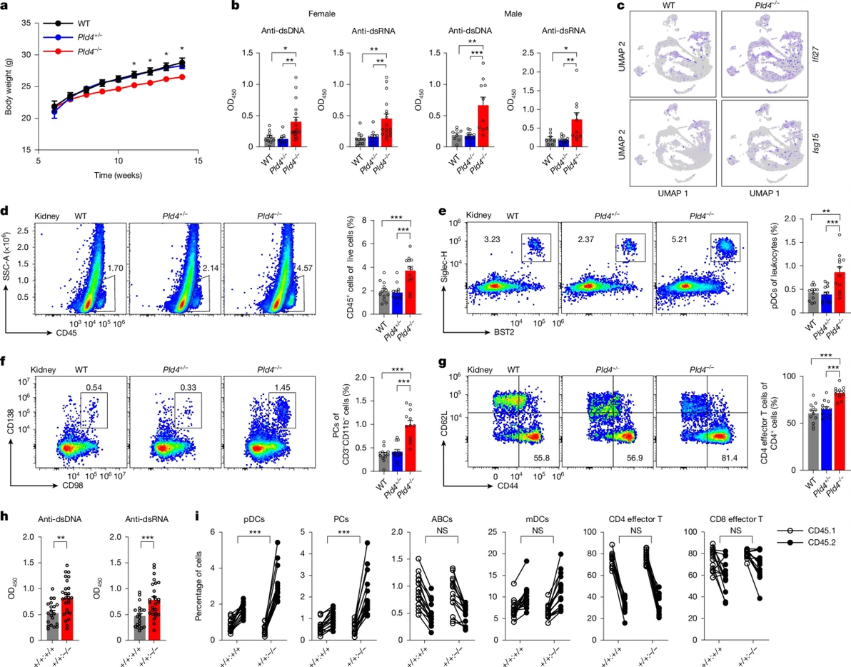重磅！集萃药康助力浙大团队登顶《Nature》，首次揭示系统性红斑狼疮（SLE） - 哔哩哔哩