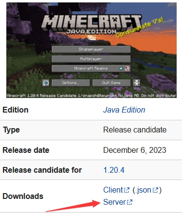 搭建一个安装了Fabric的Minecraft 服务器 - 哔哩哔哩