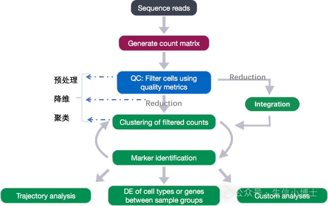 R的seurat和python的scanpy对比学习 - 哔哩哔哩
