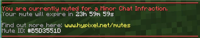 深入解析Hypixel所有处罚类型 - 哔哩哔哩
