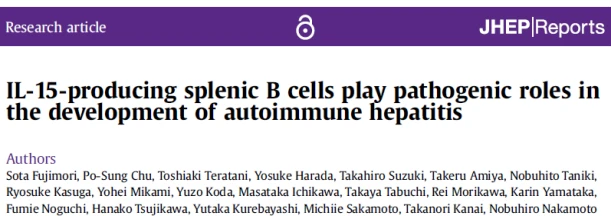 JHEP Reports︱脾脏B细胞在自身免疫性肝炎中发挥致病作用 - 哔哩哔哩