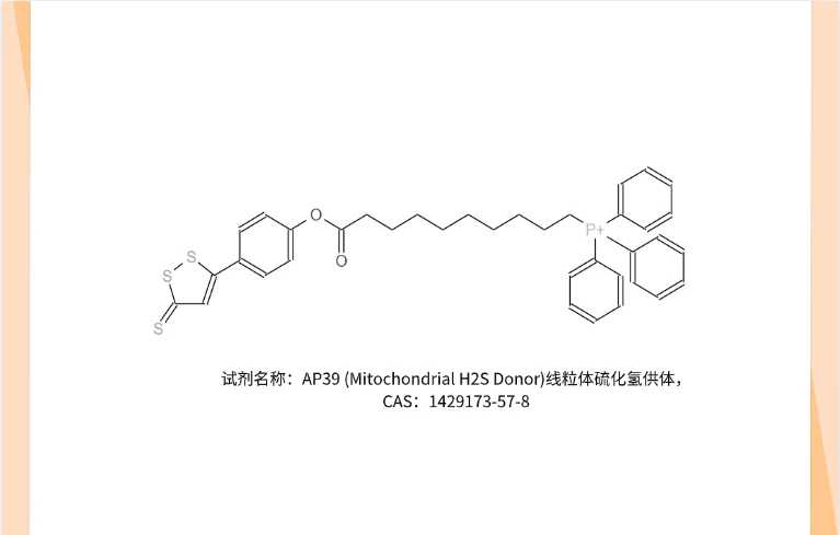 AP39 线粒体硫化氢供体必备技巧（CAS：1429173-57-8） - 哔哩哔哩