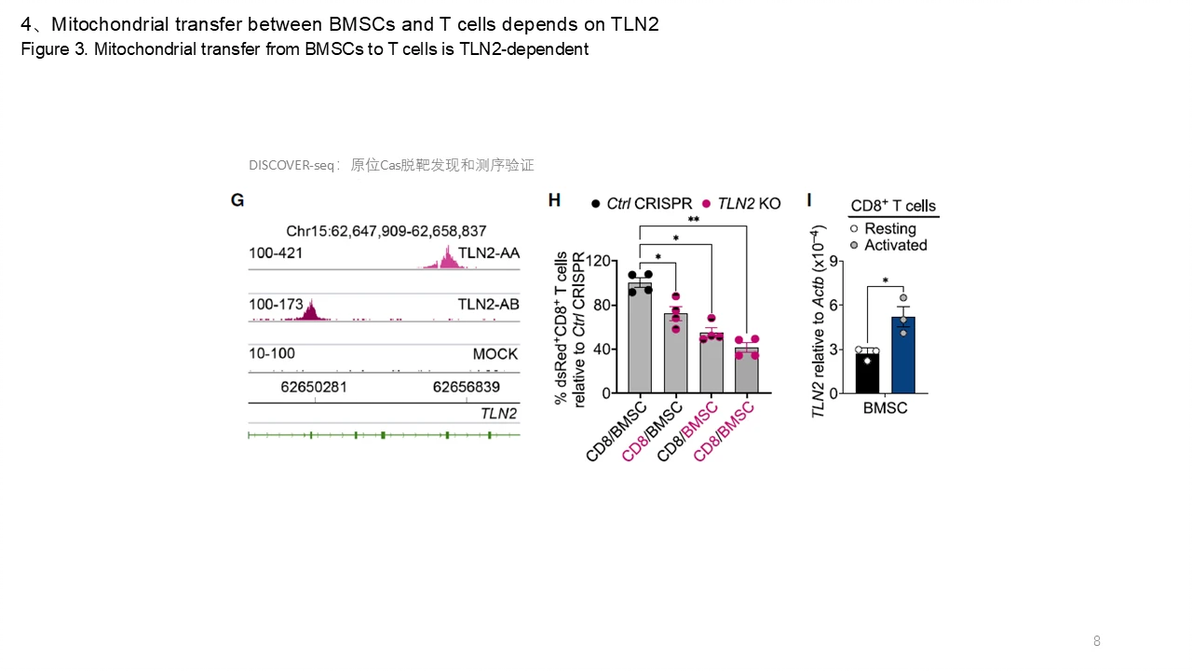 JC-Cell|线粒体转移增强CD8+T抗肿瘤免疫疗法 - 哔哩哔哩