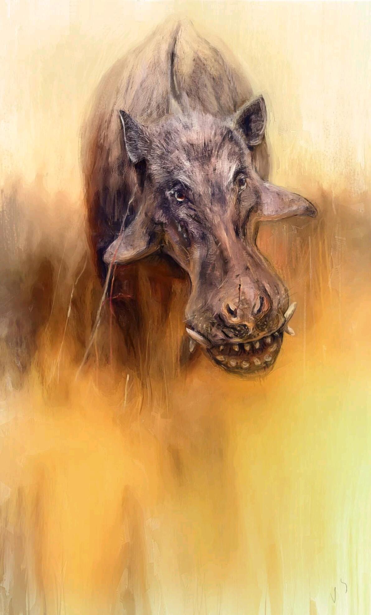 豨科的拉丁学名与中文译名对照 - 哔哩哔哩