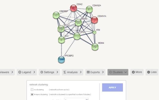 一网打尽：cytoscape详细教程 - 哔哩哔哩