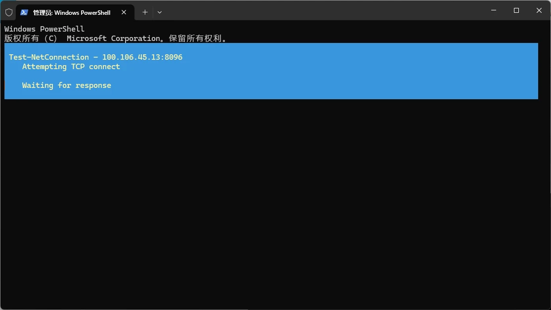 Win11用Ping和Test-NetConnection来确定网络和端口正常 - 哔哩哔哩