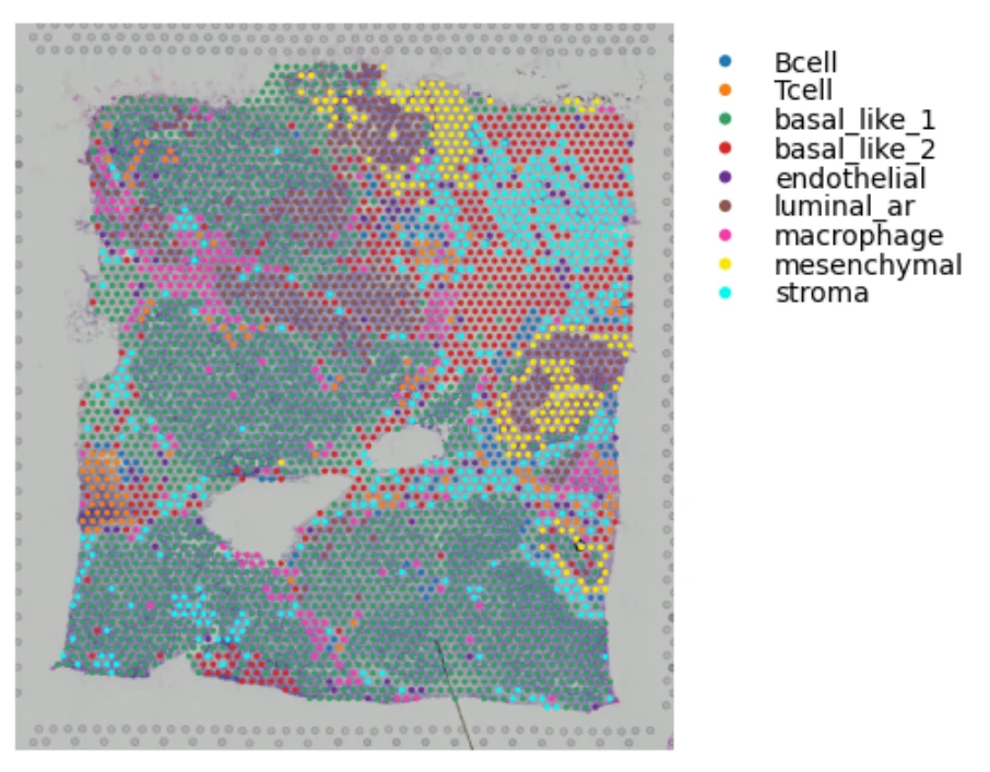 【代码分享93】超详细！手把手级Python stlearn空间转录组CCI细胞相互作用分析（一） - 哔哩哔哩