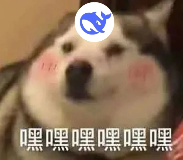 DeepSeek彻底火了，如何用，有多强，一文带你看懂！ - 哔哩哔哩