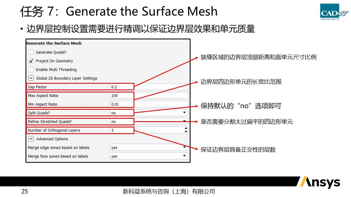 【2024 R2】Ansys Fluent 2D网格工作流教程 - 哔哩哔哩