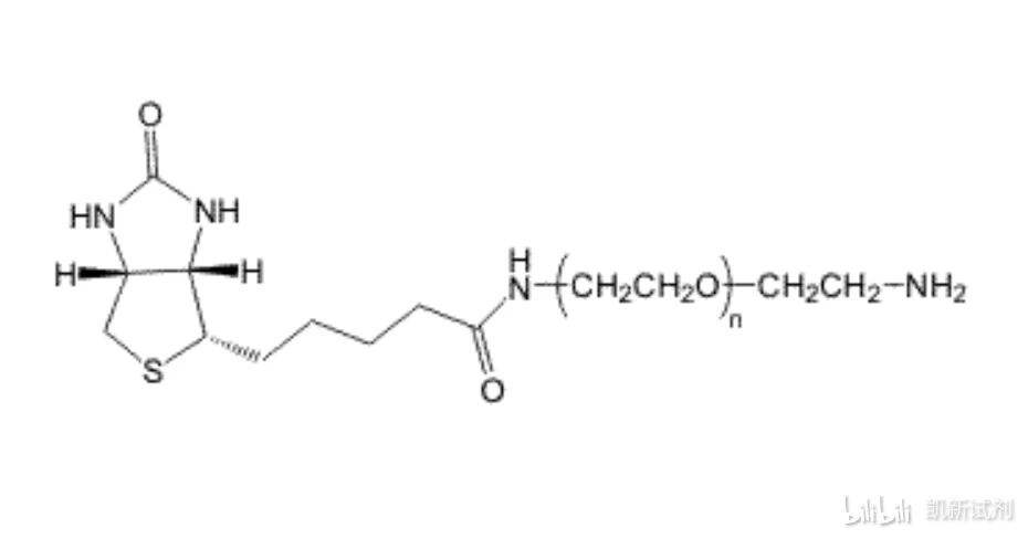 Biotin-PEG-NH2、NHS、N3：活性基团如何影响生物素化效率？ - 哔哩哔哩