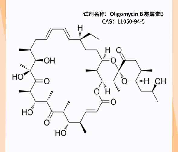 实验党必知！大环内酯类抗生素：Oligomycin B的应用领域 - 哔哩哔哩