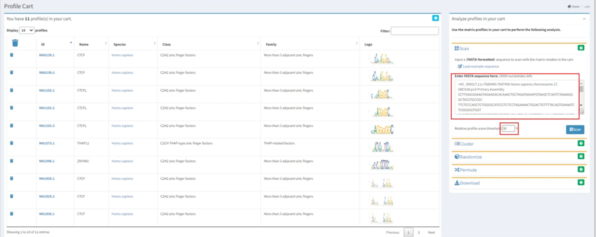 转录因子预测及优化策略-NCBI、JASPAR、UCSC数据库联用 - 哔哩哔哩