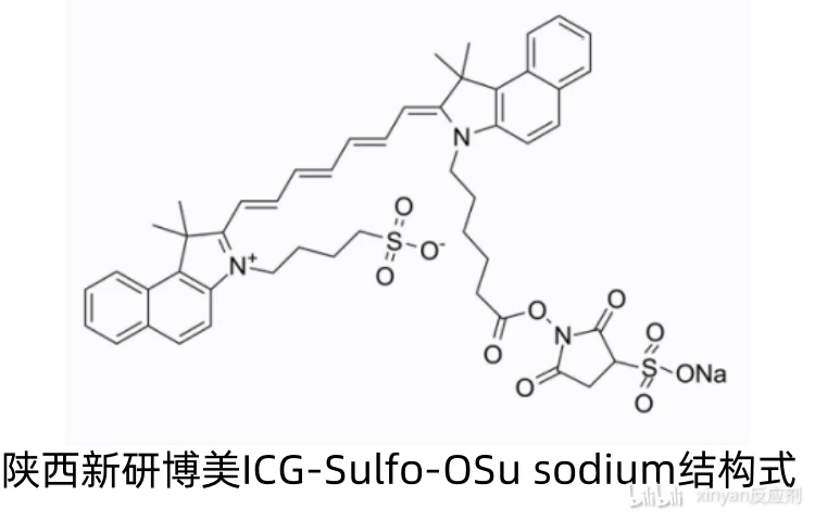 ICG-Sulfo-OSu sodiu，190714-28-4试剂的光学特性 - 哔哩哔哩