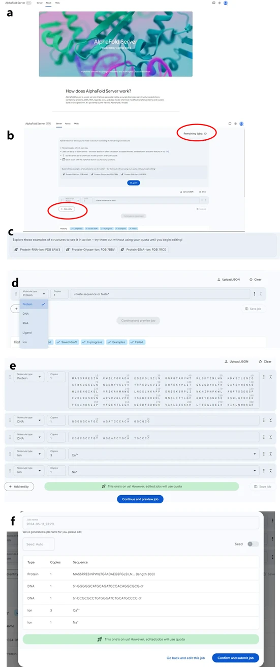 关于AlphaFold3，你想要的都整理在这里了。模型预测性能和使用操作教程 - 哔哩哔哩