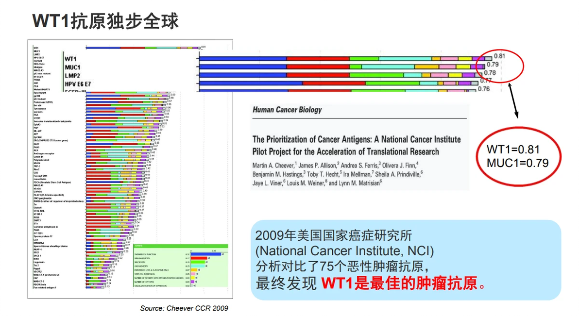 WT1肿瘤疫苗是什么？它和120万一针的抗癌针有什么区别？ - 哔哩哔哩