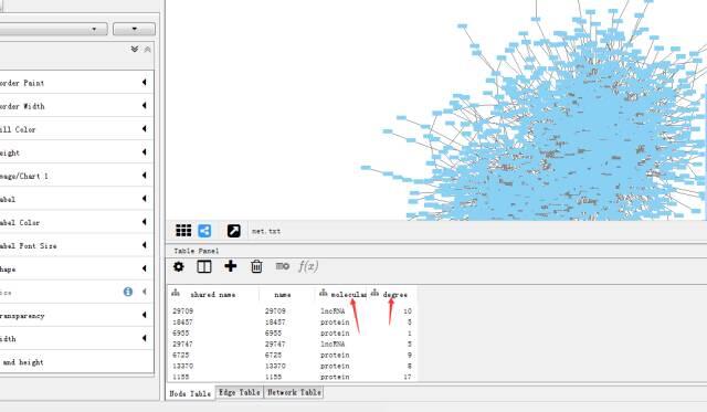 一网打尽：cytoscape详细教程 - 哔哩哔哩