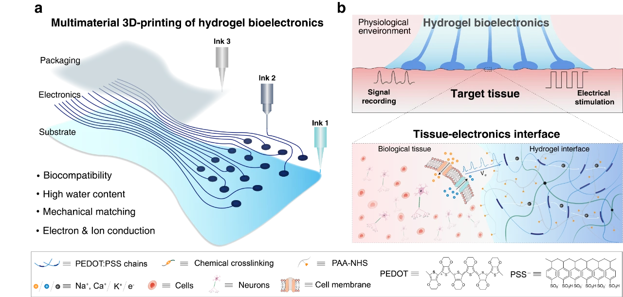 《advanced Functional Materials》:3d打印植入水凝胶生物电子 哔哩哔哩