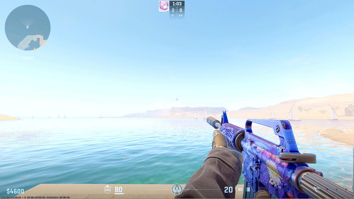 【cs2】皮肤评测日志EP.56 黑莲花(续) - 哔哩哔哩