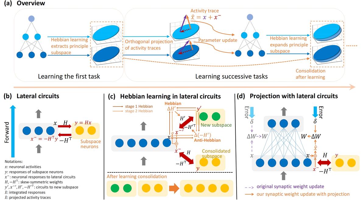 持续学习/终身学习/增量学习（ICLR2024合集（1）2024.11.1） - 哔哩哔哩