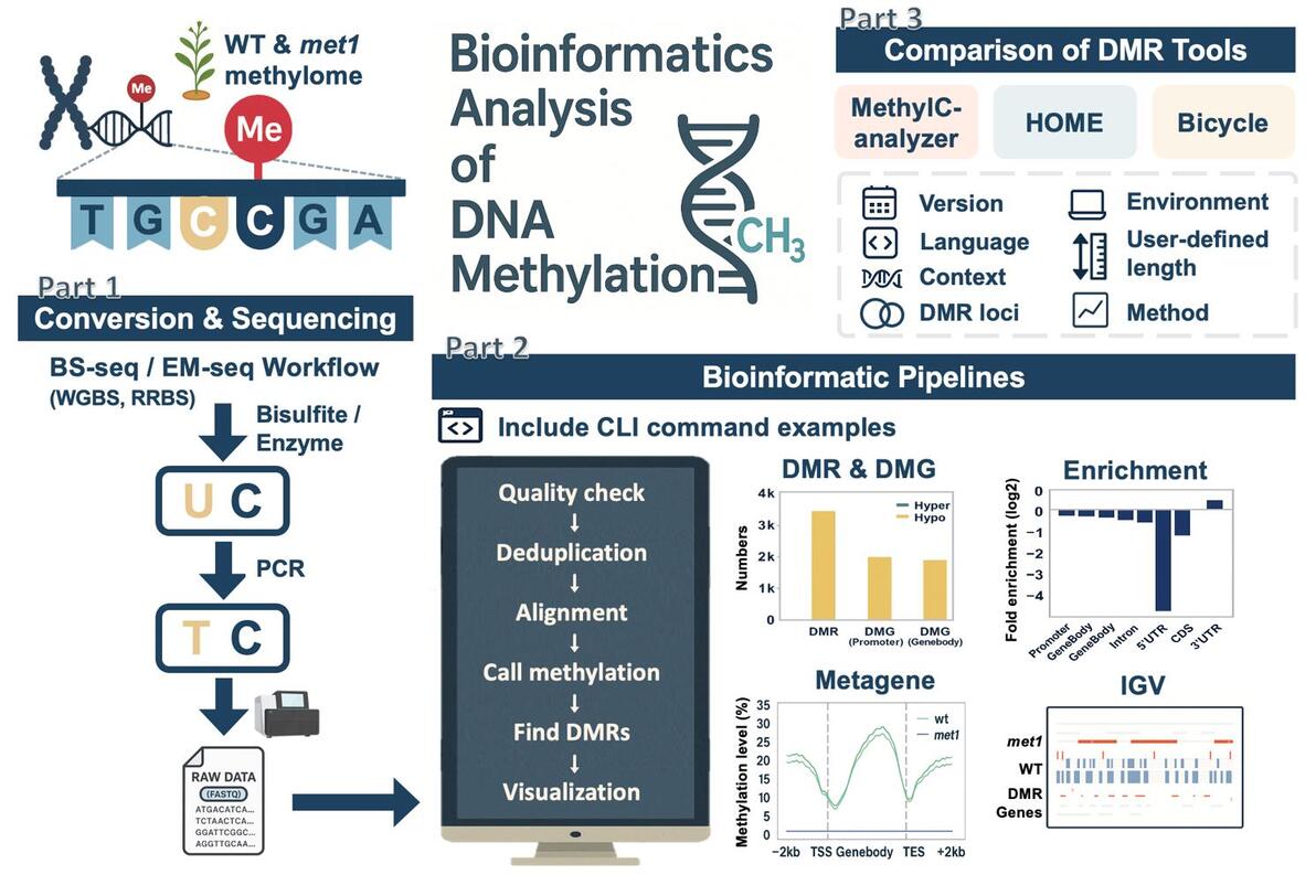 Bio-protocol | 2025年11月5日最新上线实验方案目录 - 哔哩哔哩