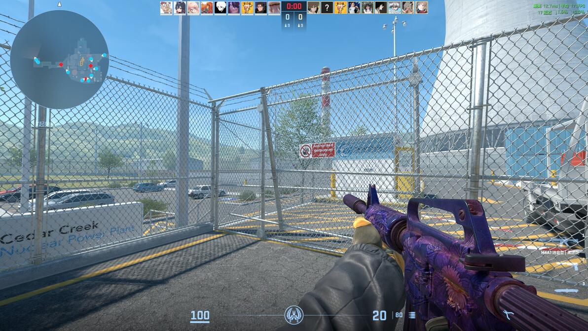 CS2 ct主战m4a1消音型皮肤推荐 - 哔哩哔哩