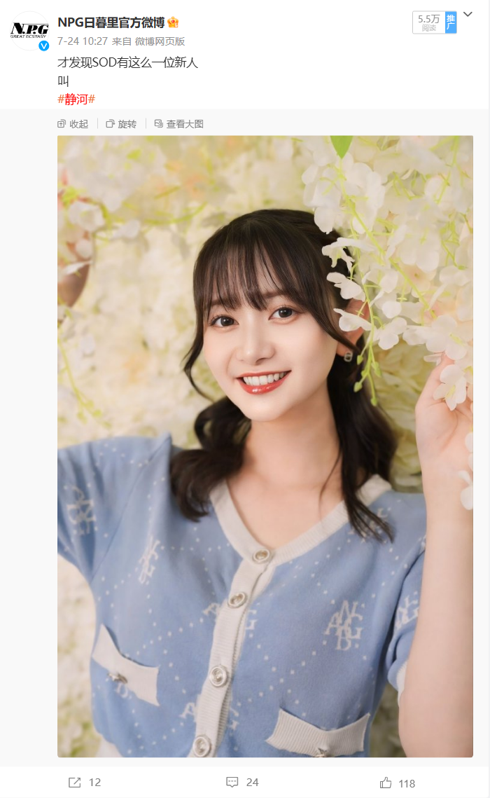 静河 | SOD 2024年最具路人缘的新人 - 哔哩哔哩