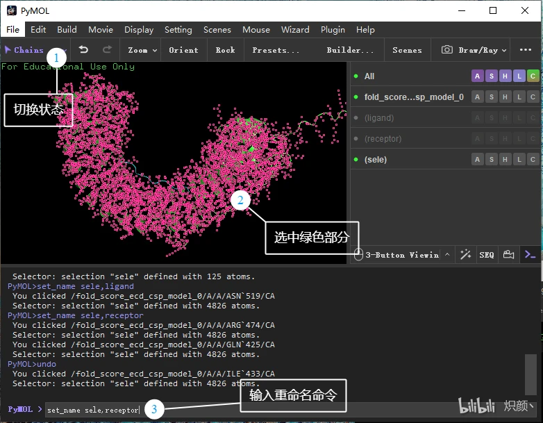使用Pymol可视化Alphafold3蛋白-蛋白复合体预测结果 - 哔哩哔哩