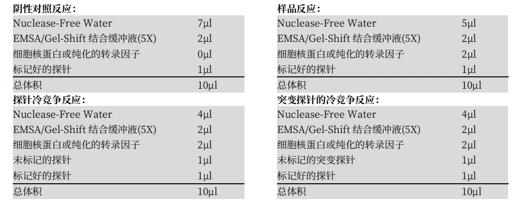 EMSA技术实验方法详细步骤 - 哔哩哔哩