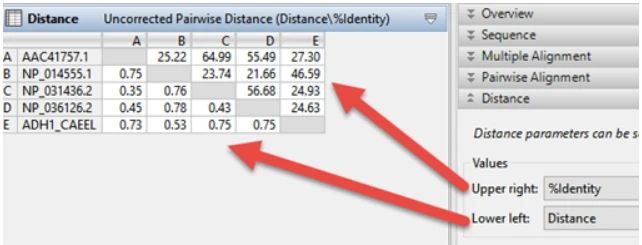 DNAStar软件之如何使用MegAlign Pro为您的数据构建最佳的系统发育 - 哔哩哔哩