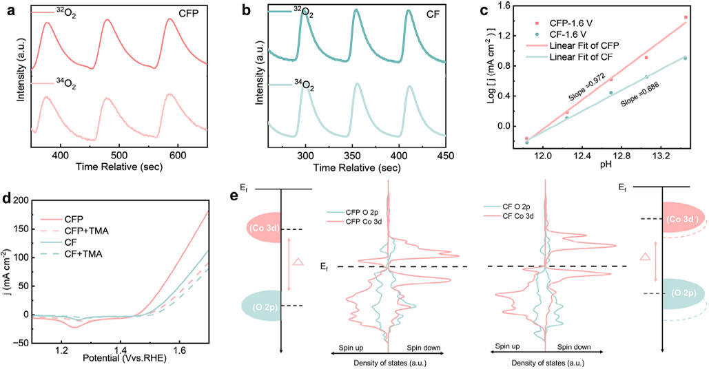 OER最新AFM：可再生晶格氧机制增强钴铁氧化物性能 - 哔哩哔哩