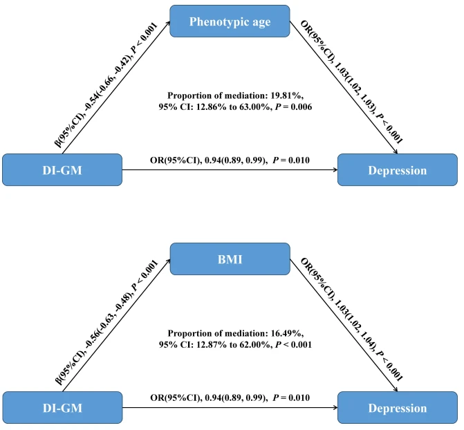 NHANES仅2篇的新膳食指标DI-GM，中国学者探究其与抑郁的关联发文SCI - 哔哩哔哩