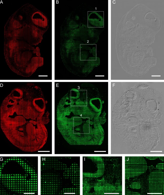 DBiT-seq 空间多组学平台 - 哔哩哔哩