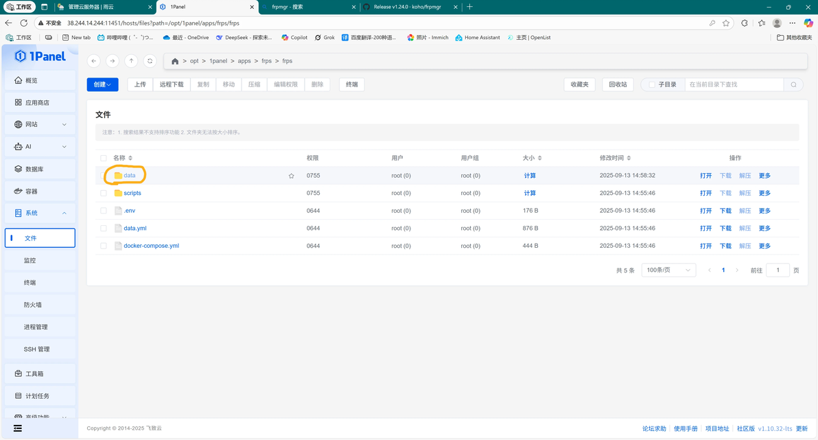 Frps安装教程（使用1Panel应用功能安装，并使用frpmgr管理面板连接） - 哔哩哔哩
