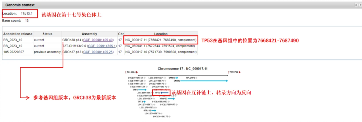 转录因子预测及优化策略-NCBI、JASPAR、UCSC数据库联用 - 哔哩哔哩