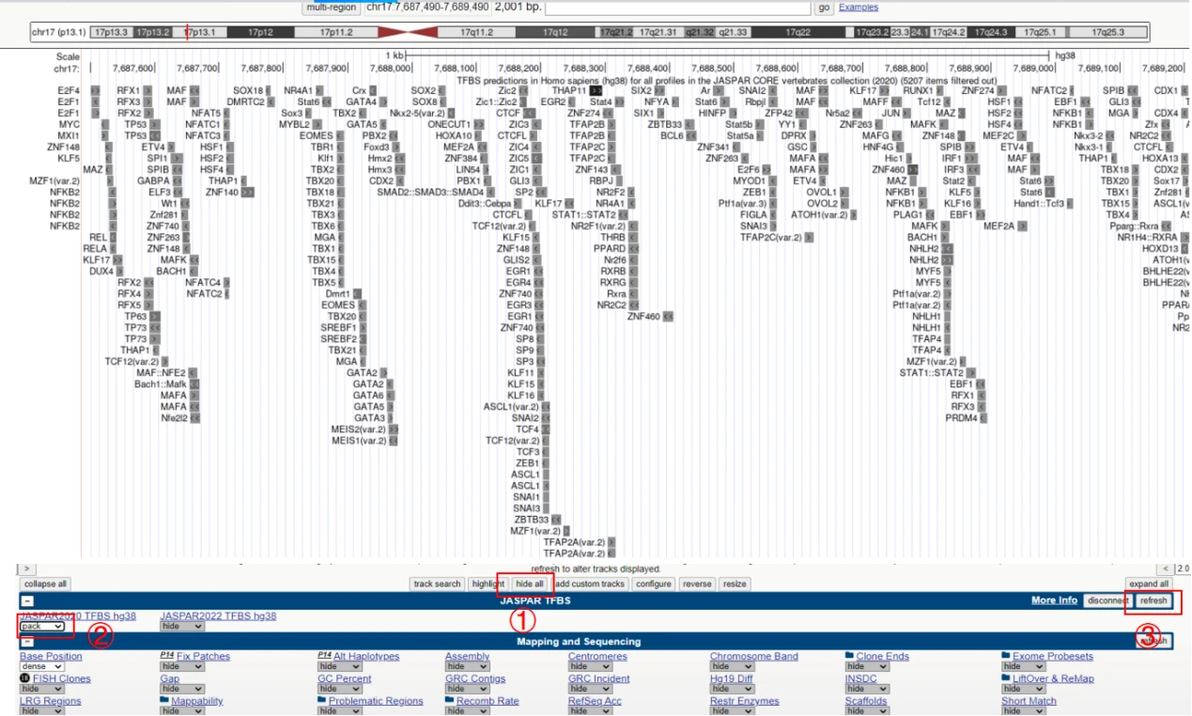 转录因子预测及优化策略-NCBI、JASPAR、UCSC数据库联用 - 哔哩哔哩