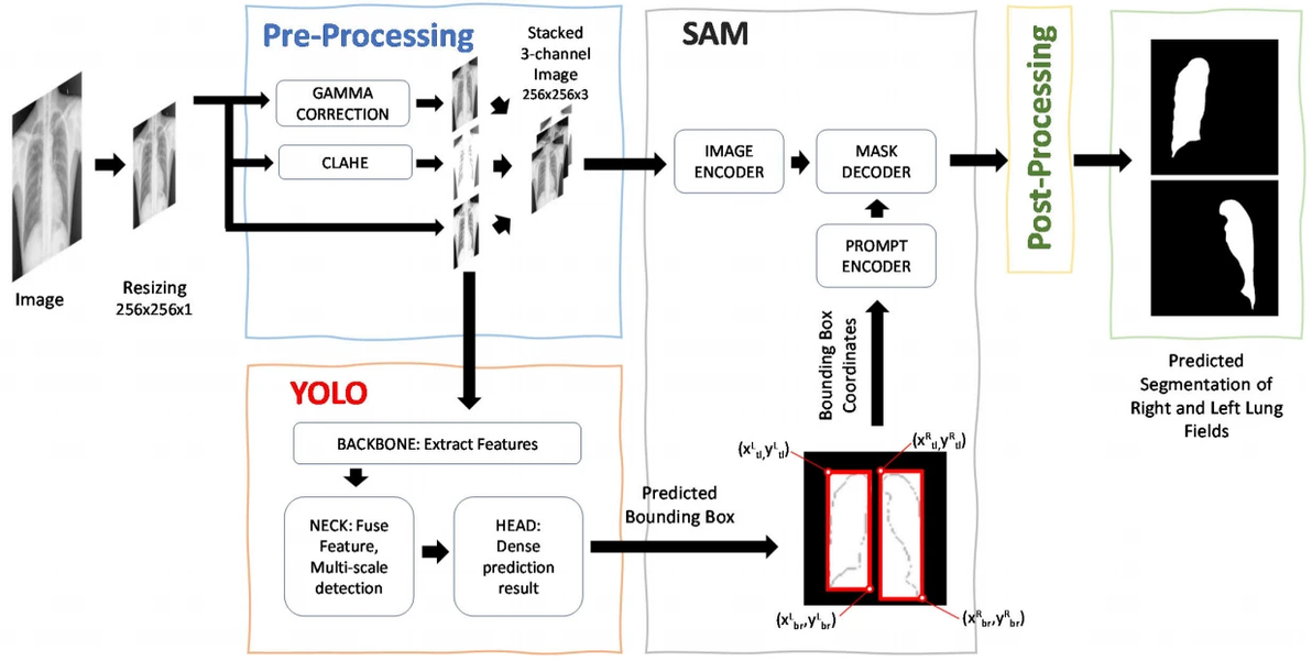 审稿人最爱的技术融合！YOLO+SAM双剑合璧！速度与精度All in - 哔哩哔哩