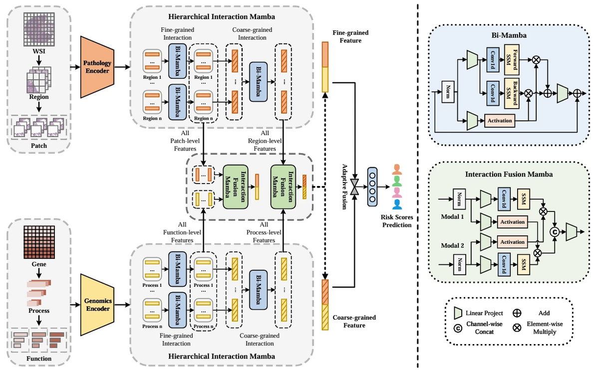 拿下CV顶会！多模态特征融合+Mamba新方法，性能超越SOTA！ - 哔哩哔哩