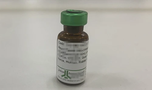 Cy3标记亲和纯化山羊抗小鼠IgG(H+L)二抗，更亮更强，荧光量子产率较高 - 哔哩哔哩
