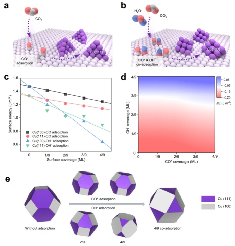 梁红艳/李俊/David Sinton Nat. Commun.：Cu催化CO2还原，“面子”很重要！ - 哔哩哔哩