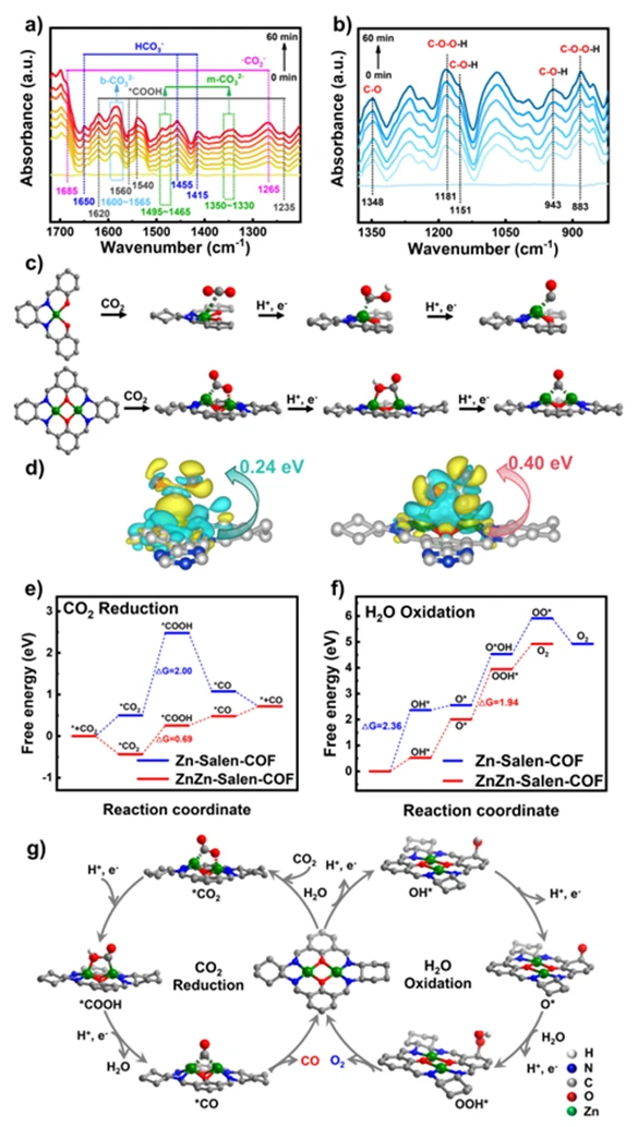 光催化丨董鸿/张凤鸣/兰亚乾Angew：双金属Salen-COFs-低浓度CO2转化 - 哔哩哔哩